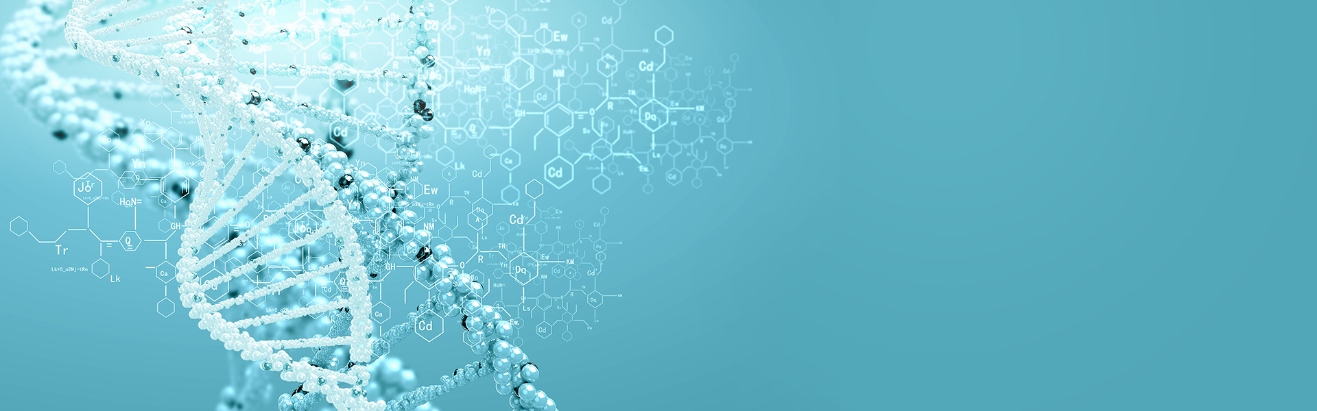 Clinical Research on Sepsis [2025 Vol.38 No.11]